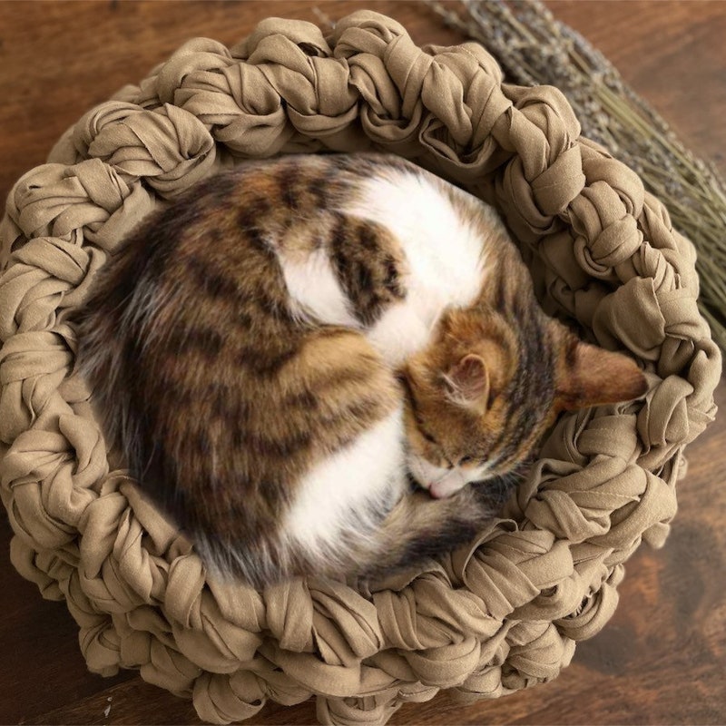 Unique Cat Bed - Etsy