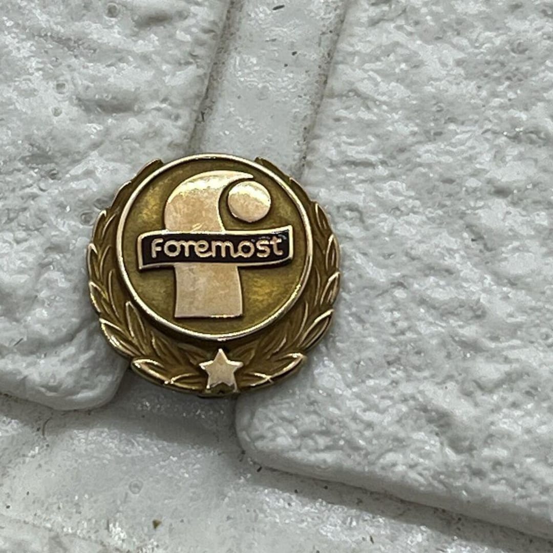 Vintage Foremost Dairy 1/10 10k Gold Fill Employee Service Award Tie ...
