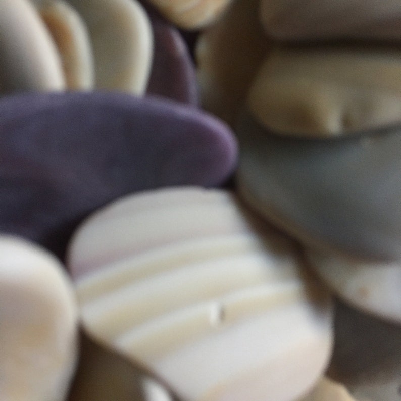 Seashell Lot ~ Large Mixed Lot of Small to Medium Shells, Beach Decor ...
