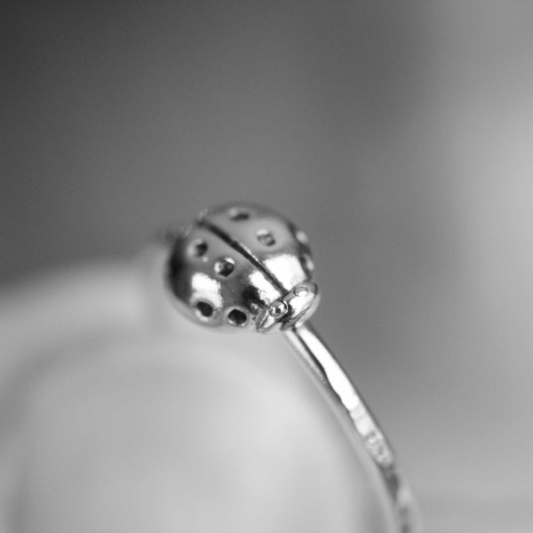 Miraculous Ladybug Jewelry - Etsy