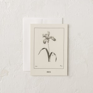 Iris Cards - Etsy