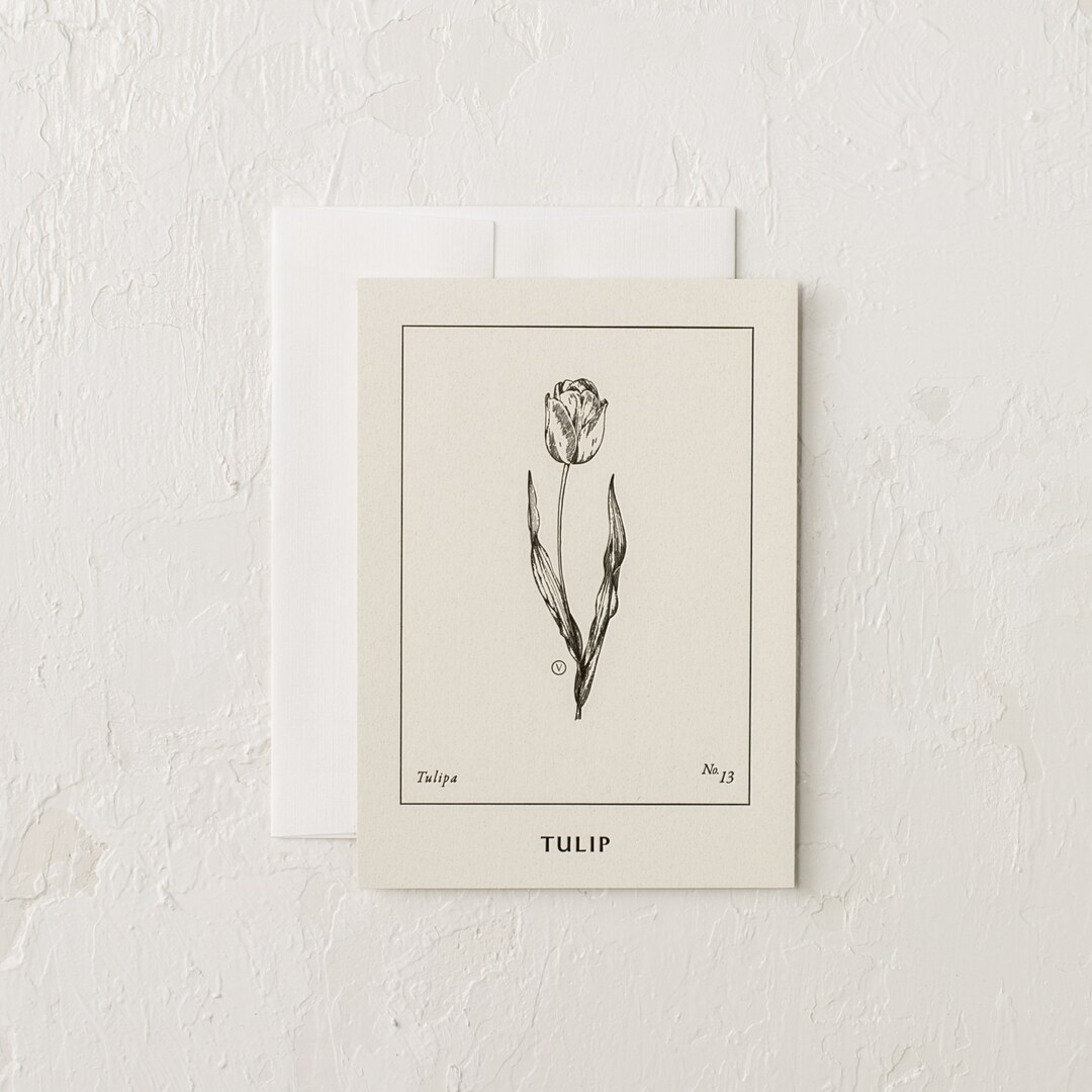 Tulip Cards - Etsy