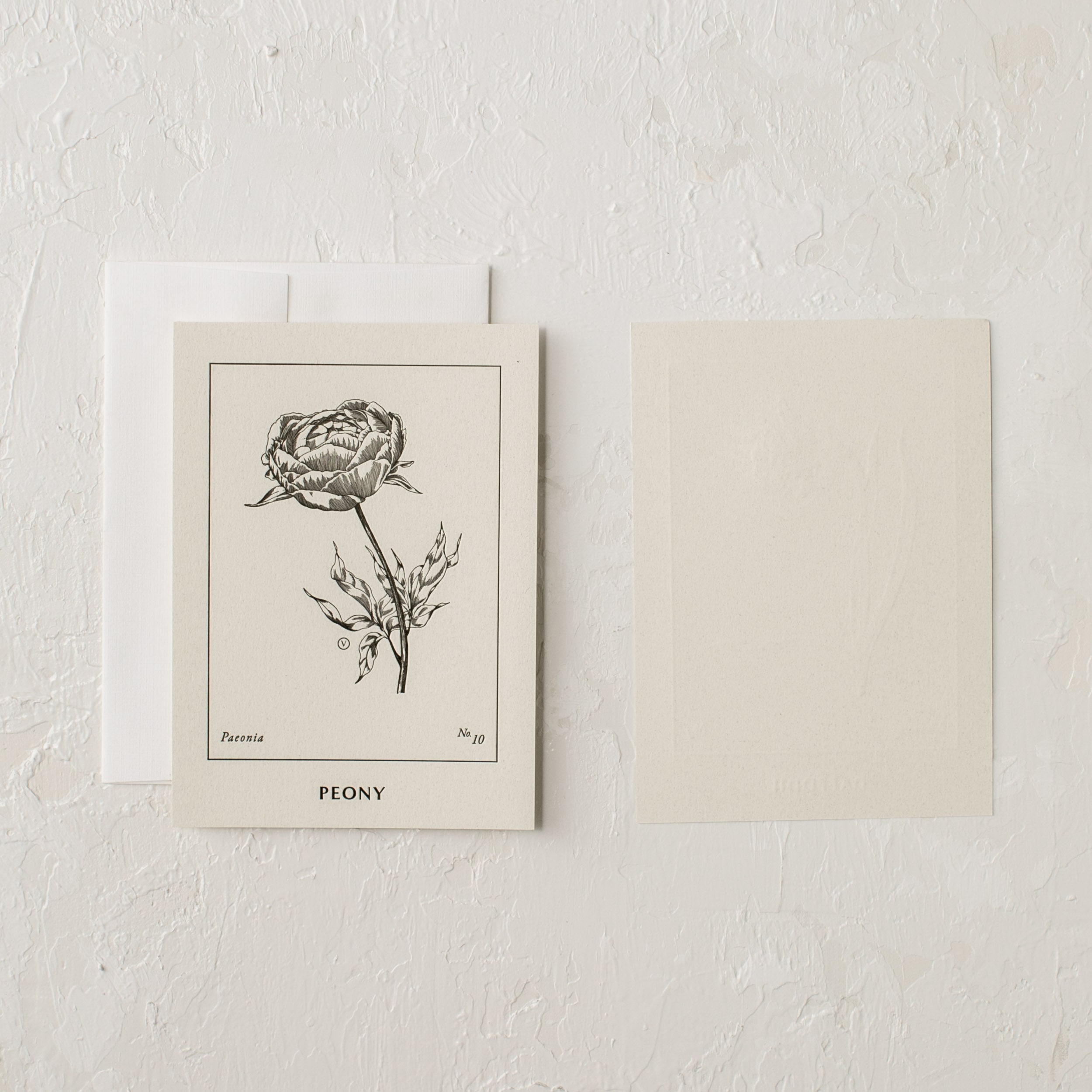 Peony Cards - Etsy