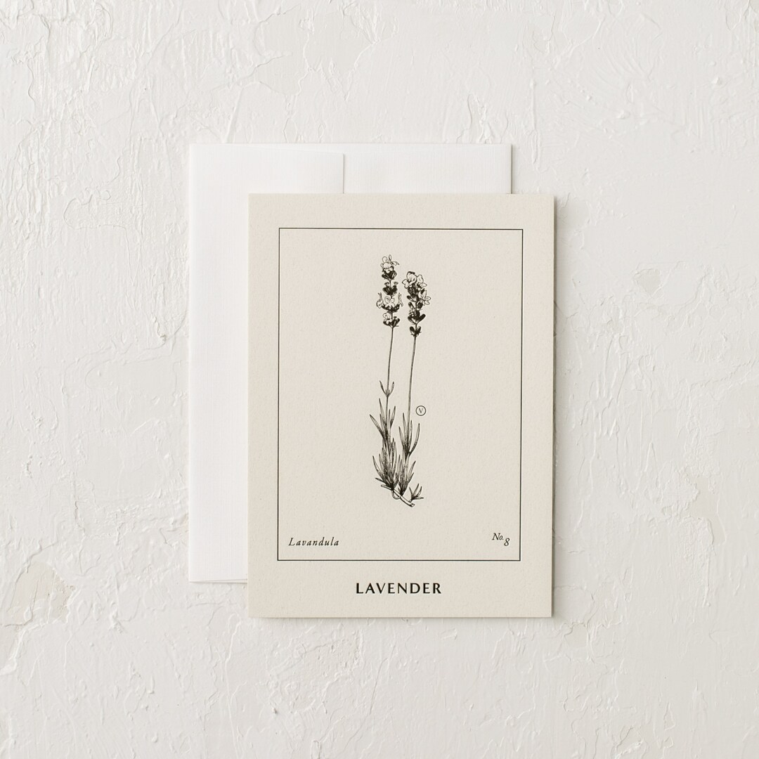 Lavender Cards - Etsy