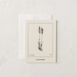 Lavender Cards - Etsy