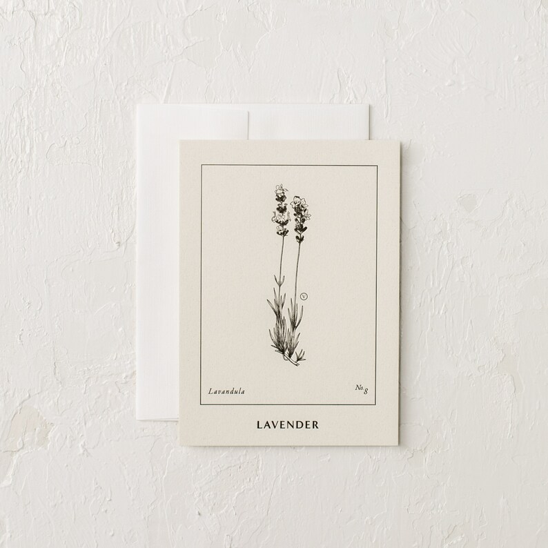 Lavender Cards - Etsy