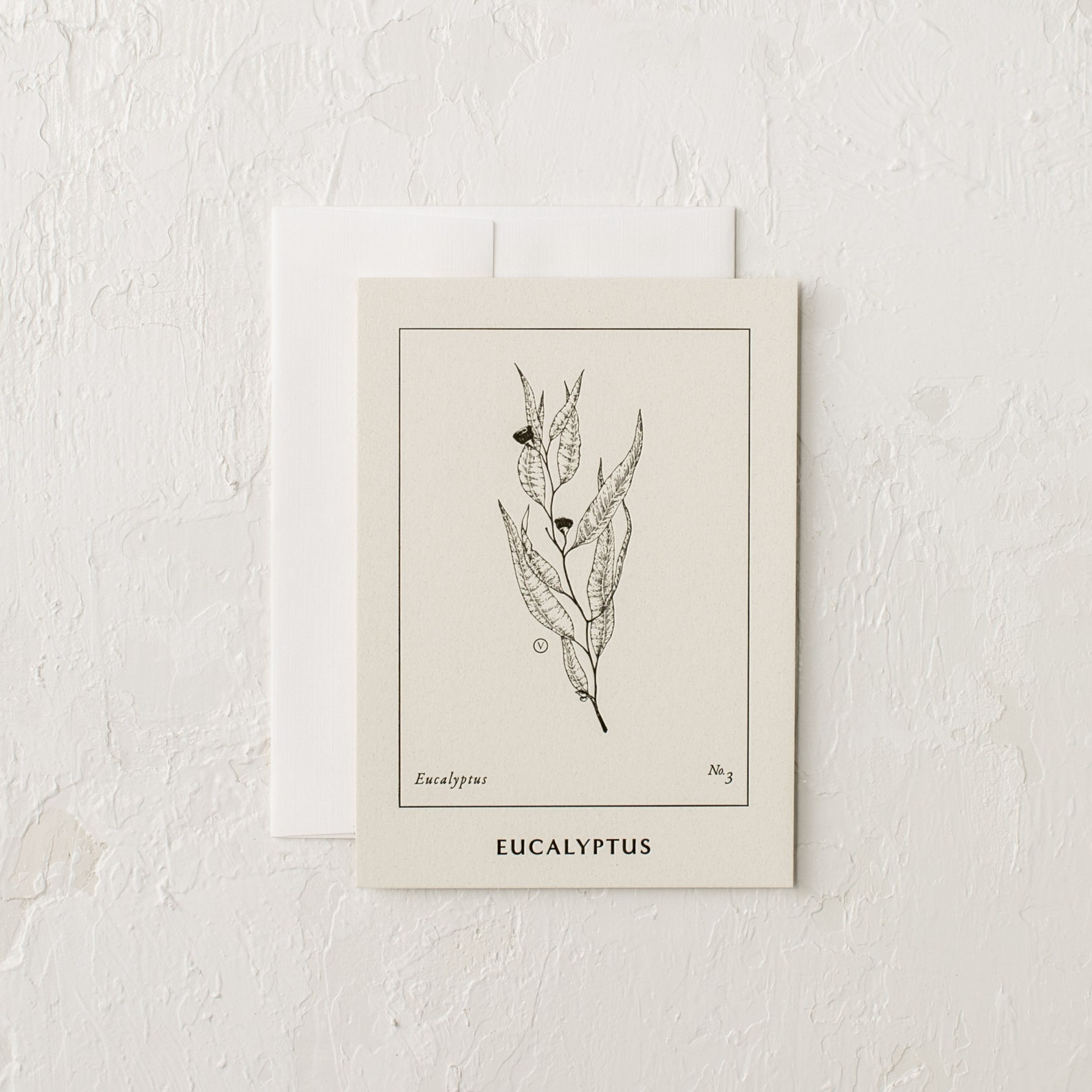 Eucalyptus Cards | Etsy