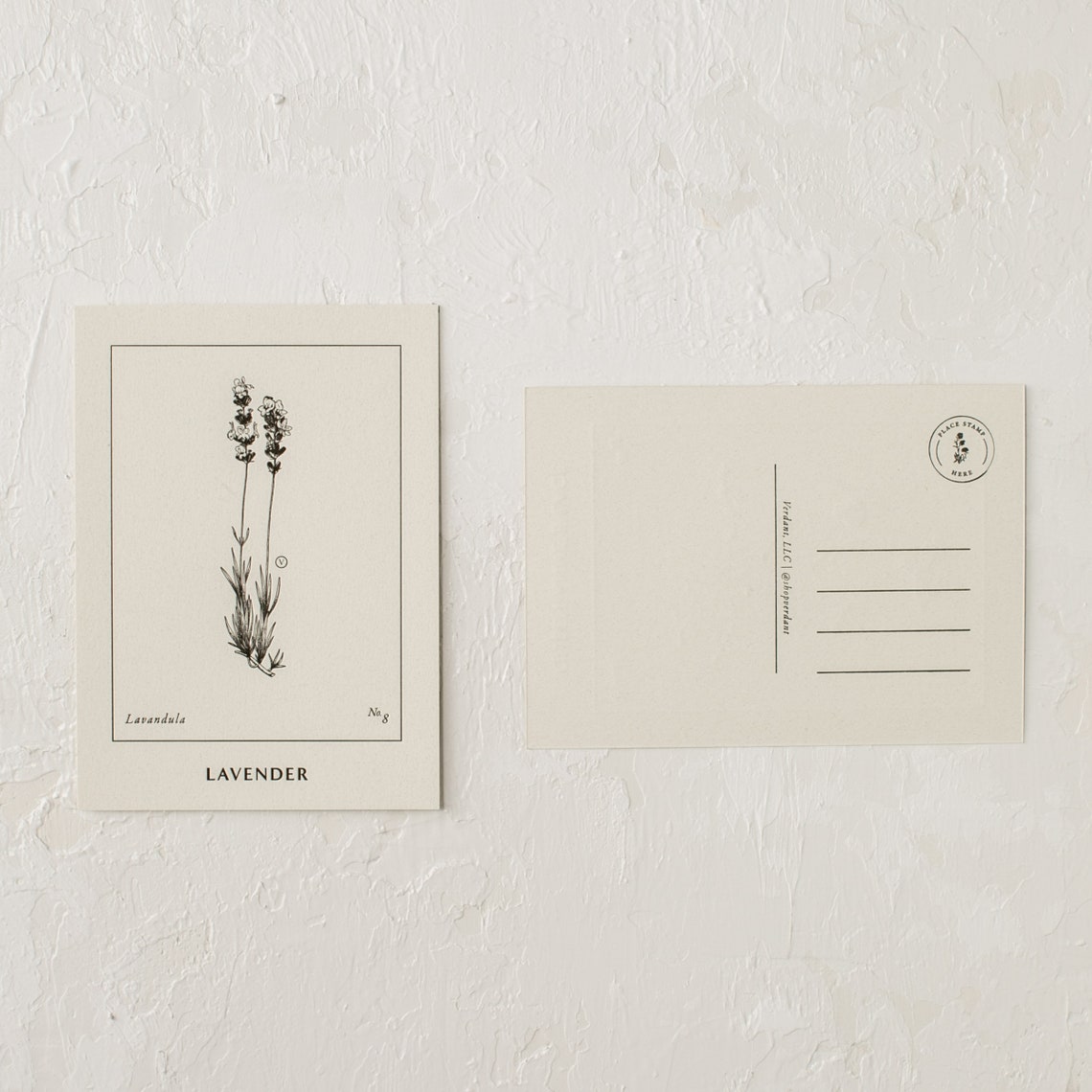 Lavender Cards - Etsy