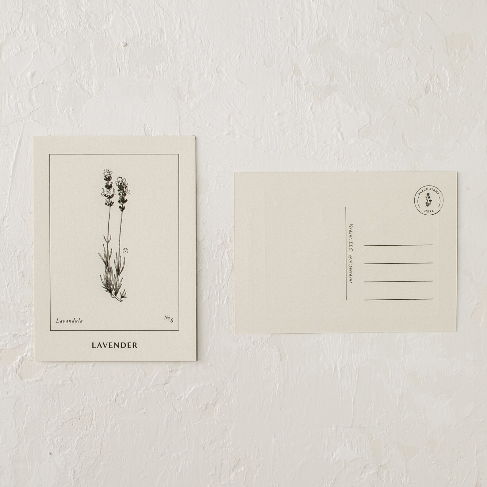 Lavender Cards - Etsy