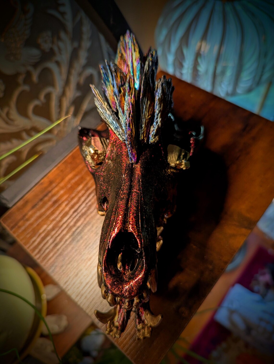 Genuine Coyotes Skull With Titanium Coated Kyanite and Pyrite Crystals ...