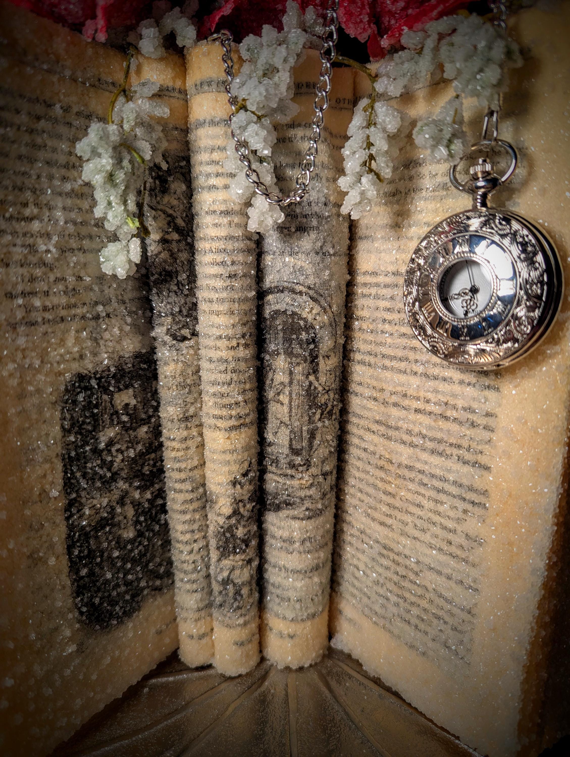 Crystalized Alice in Wonderland Book With Crystallized Flowers and ...