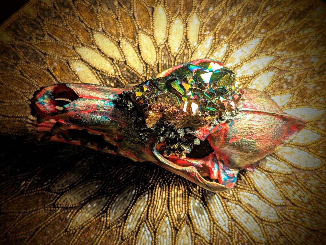 Genuine Coyotes Skull With Titanium Coated Amethyst and Pyrite Crystals ...