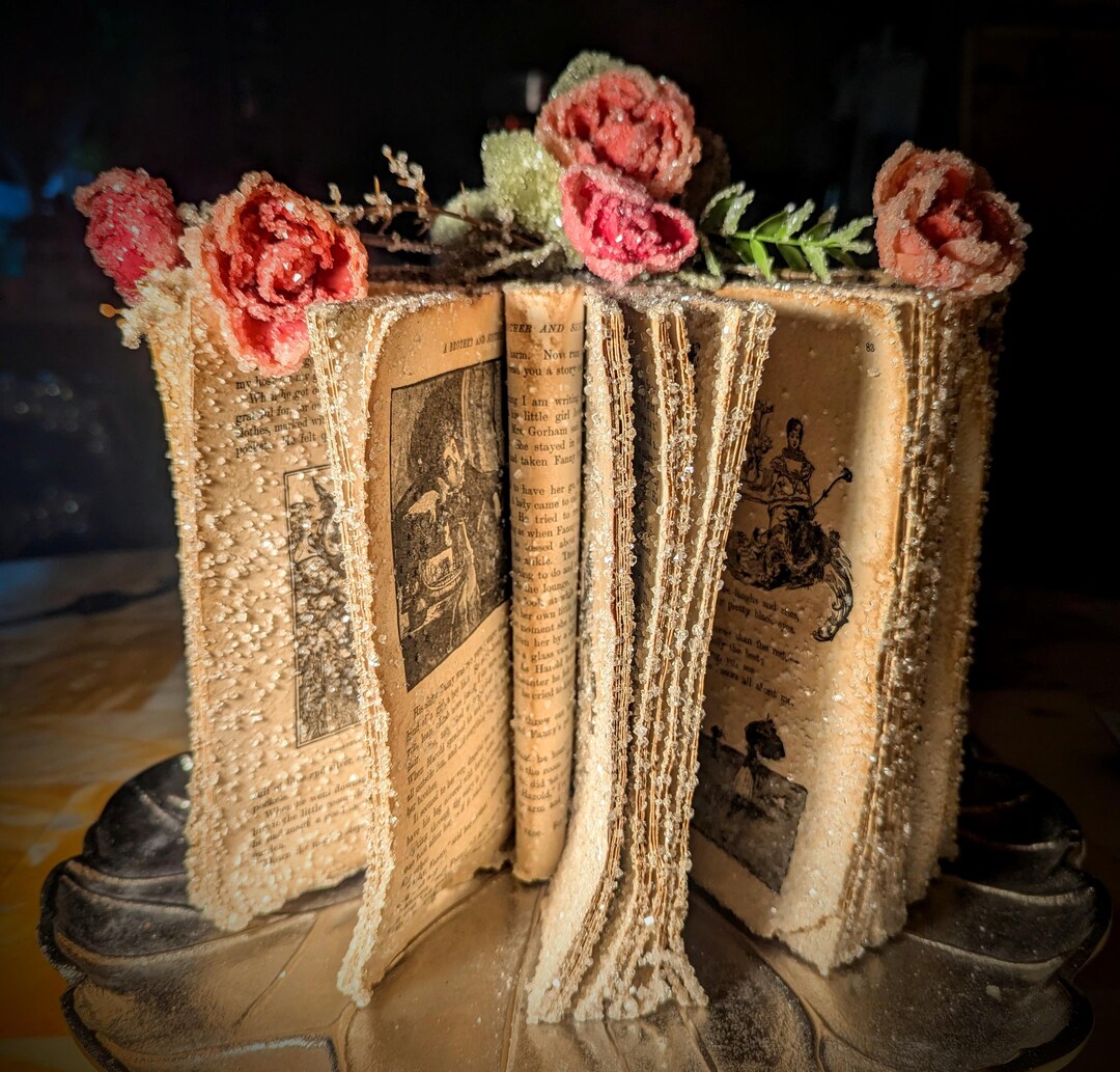 Vintage Ornate Crystallizedbeauty and the Beast Book With Crystallized ...