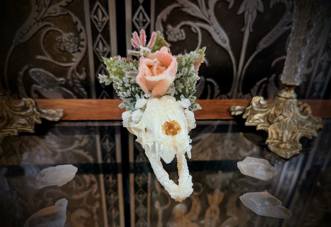 Crystallized Genuine Fox Skull With Crystallized Flowers - Etsy