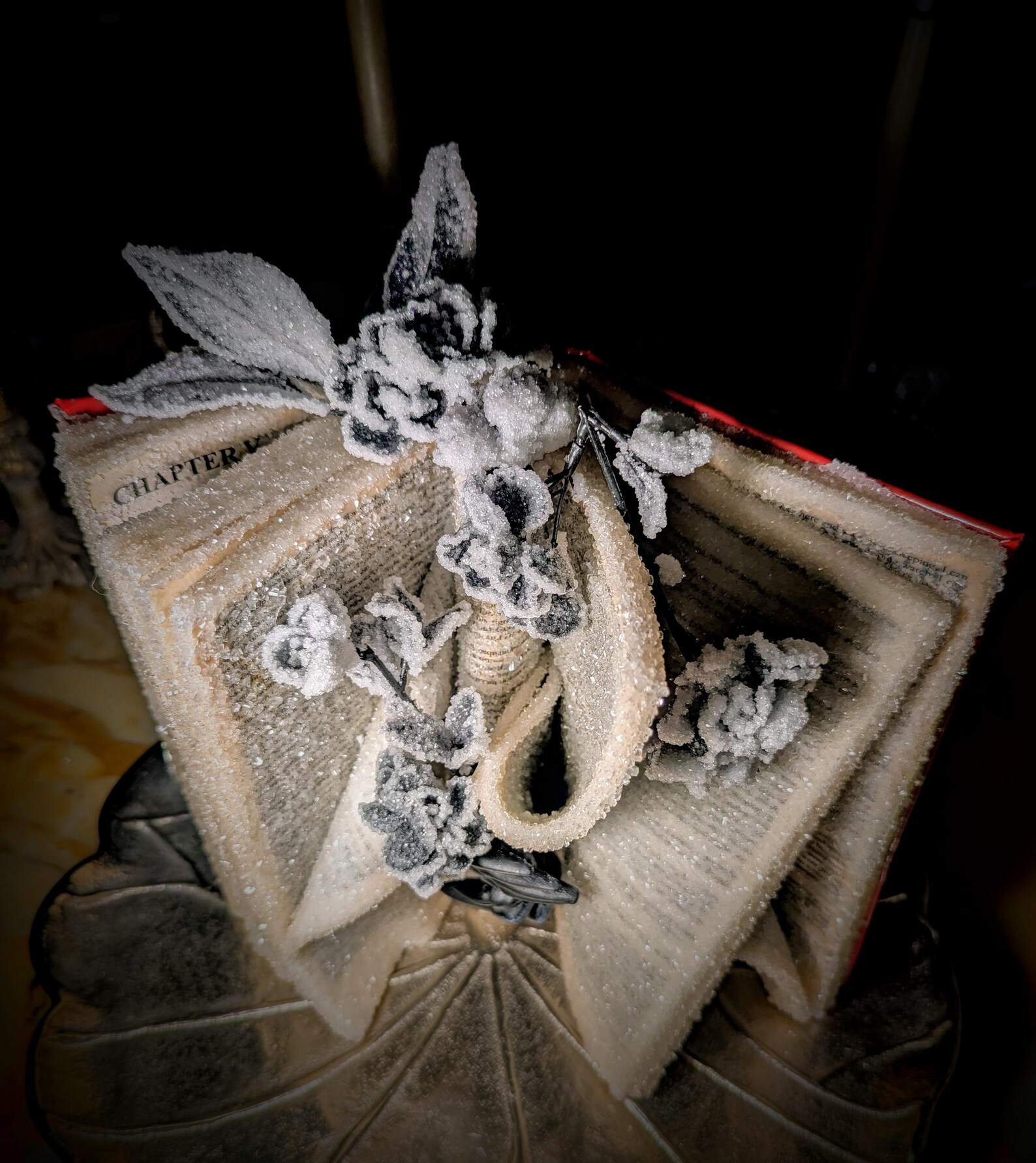 Crystalized Bram Stoker's "dracula" Book With Crystalized Black Flowers ...