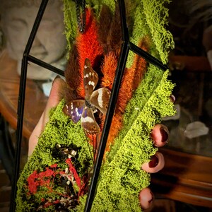 Mossy Glass Coffin Case With Flowers and Real Irredecent Butterfly - Etsy