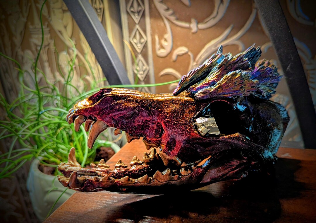 Genuine Coyotes Skull With Titanium Coated Kyanite and Pyrite Crystals ...