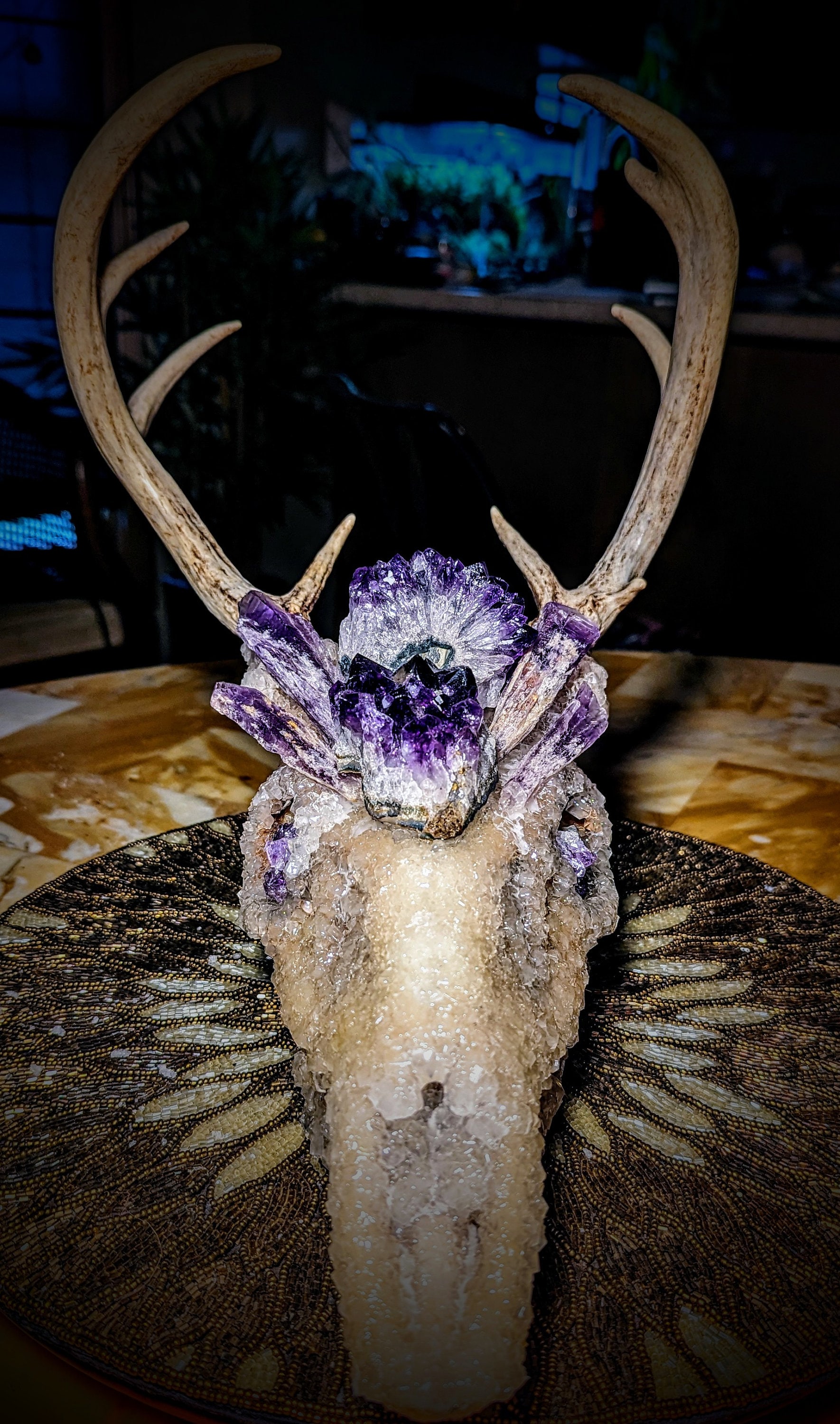 Real Borax Crystalized Deer Skull With Amethyst Crystals - Etsy