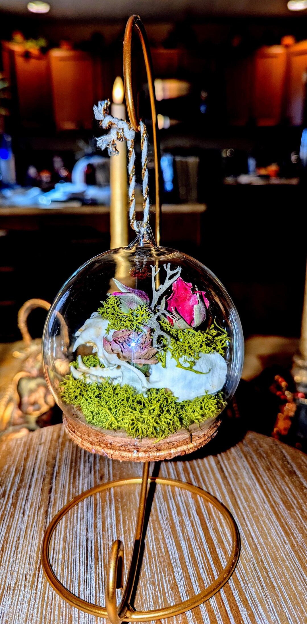 Genuine Mink Skull in Hanging Cloche Ornament With Real Flowers and ...