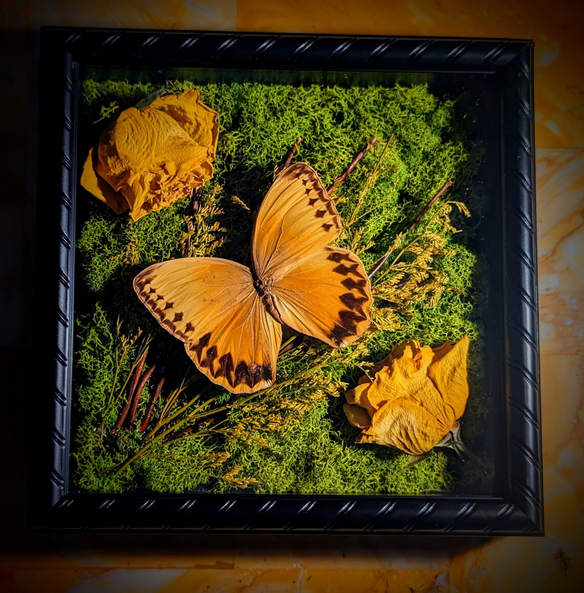 8x8 Cottagecore Shadow Box With Real Genuine Butterfly, Moss and ...