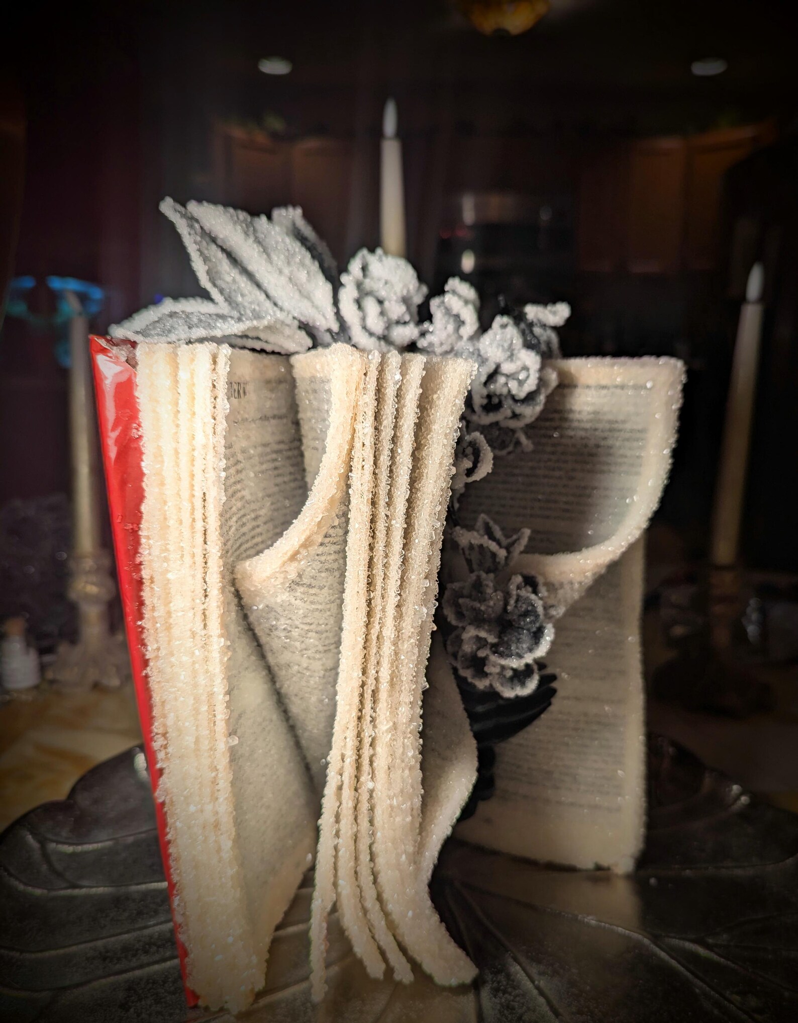 Crystalized Bram Stoker's "dracula" Book With Crystalized Black Flowers ...