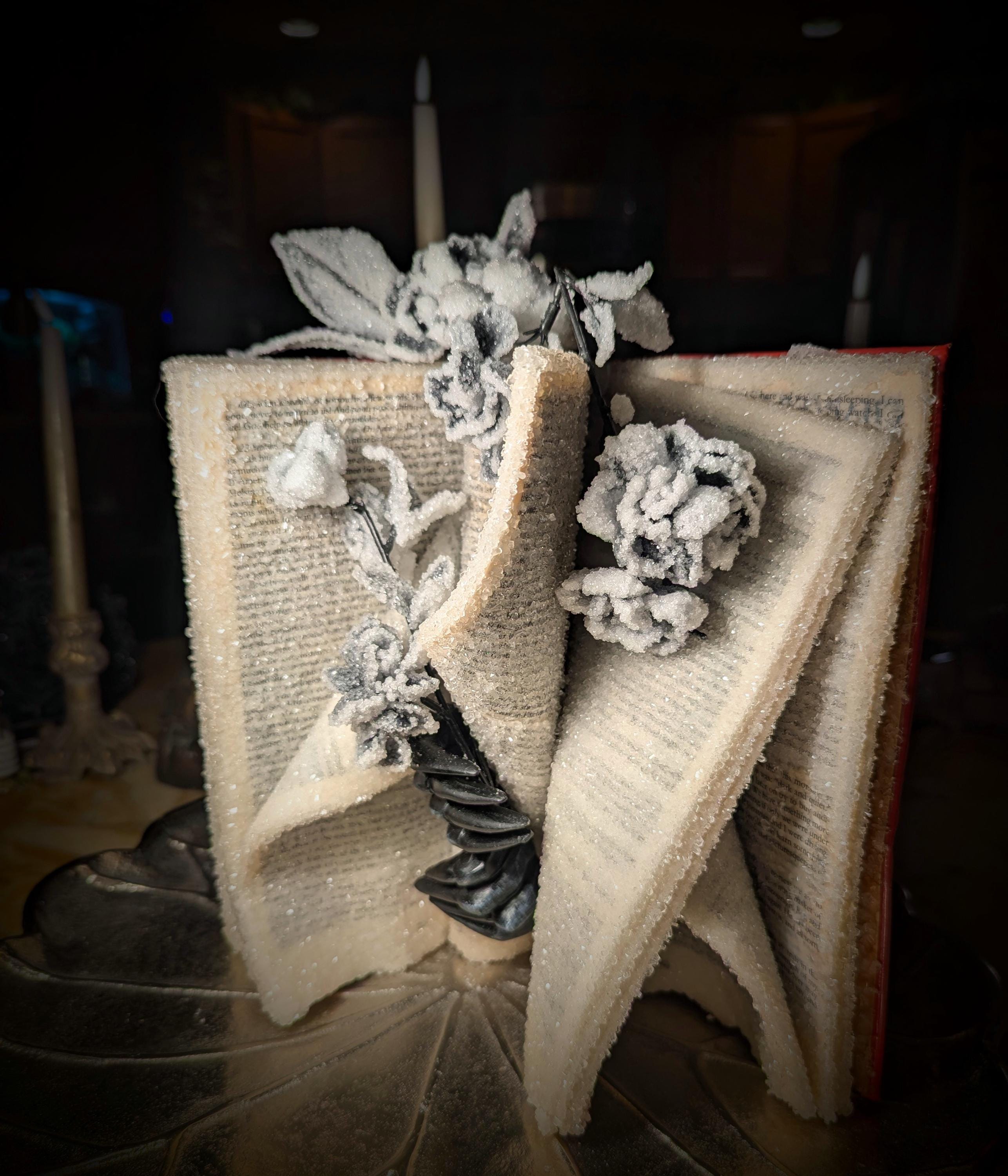 Crystalized Bram Stoker's "dracula" Book With Crystalized Black Flowers ...