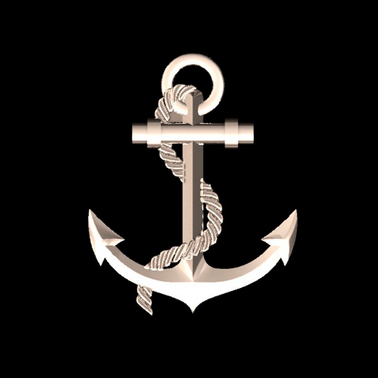 USCG Licensed Engineers Ring - Etsy