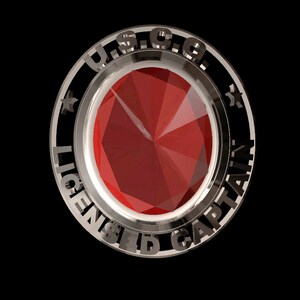 USCG Licensed Captains Ring - Etsy