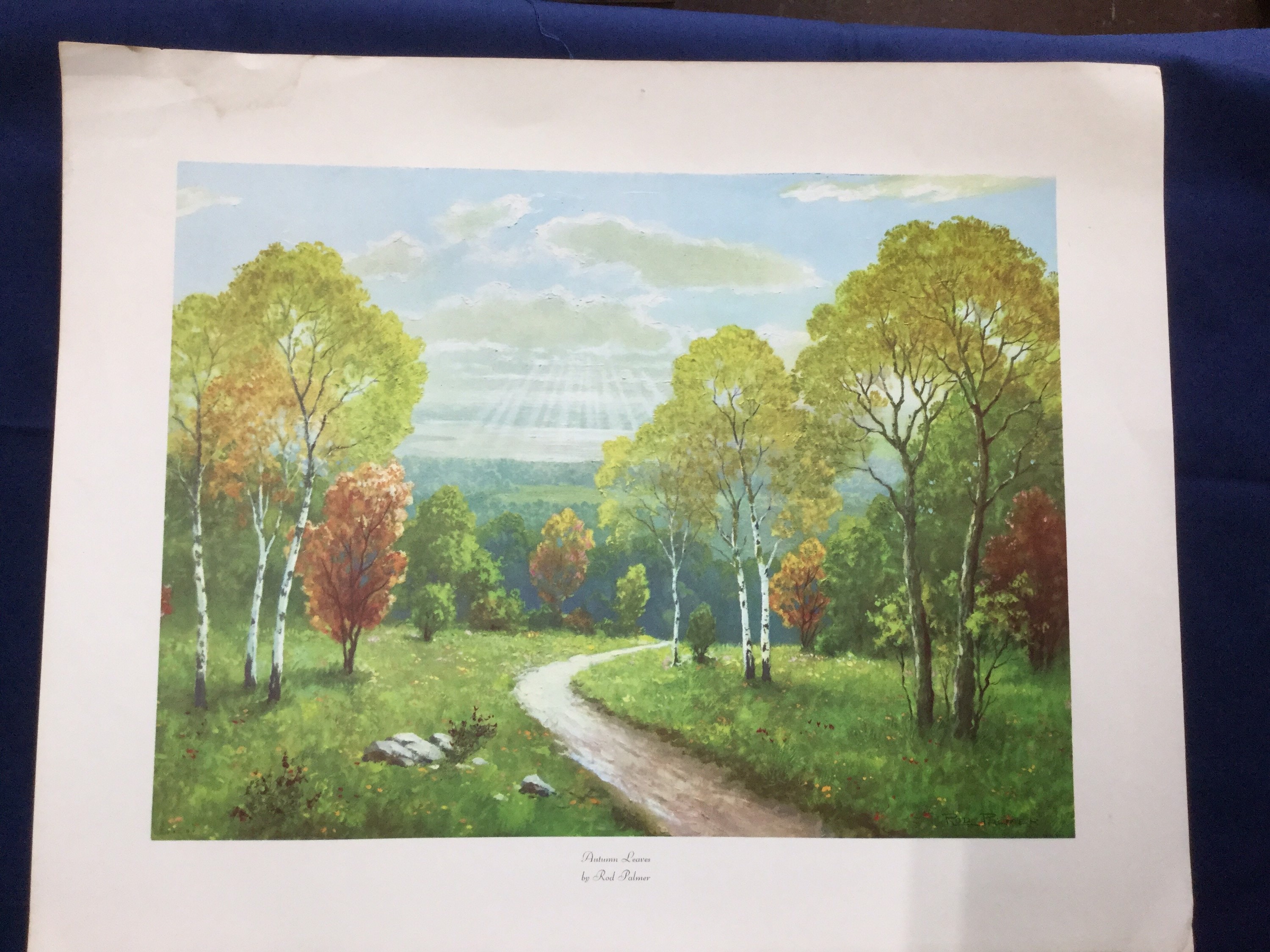Vintage Rod Palmer Litho Print “autumn Leaves” - Etsy