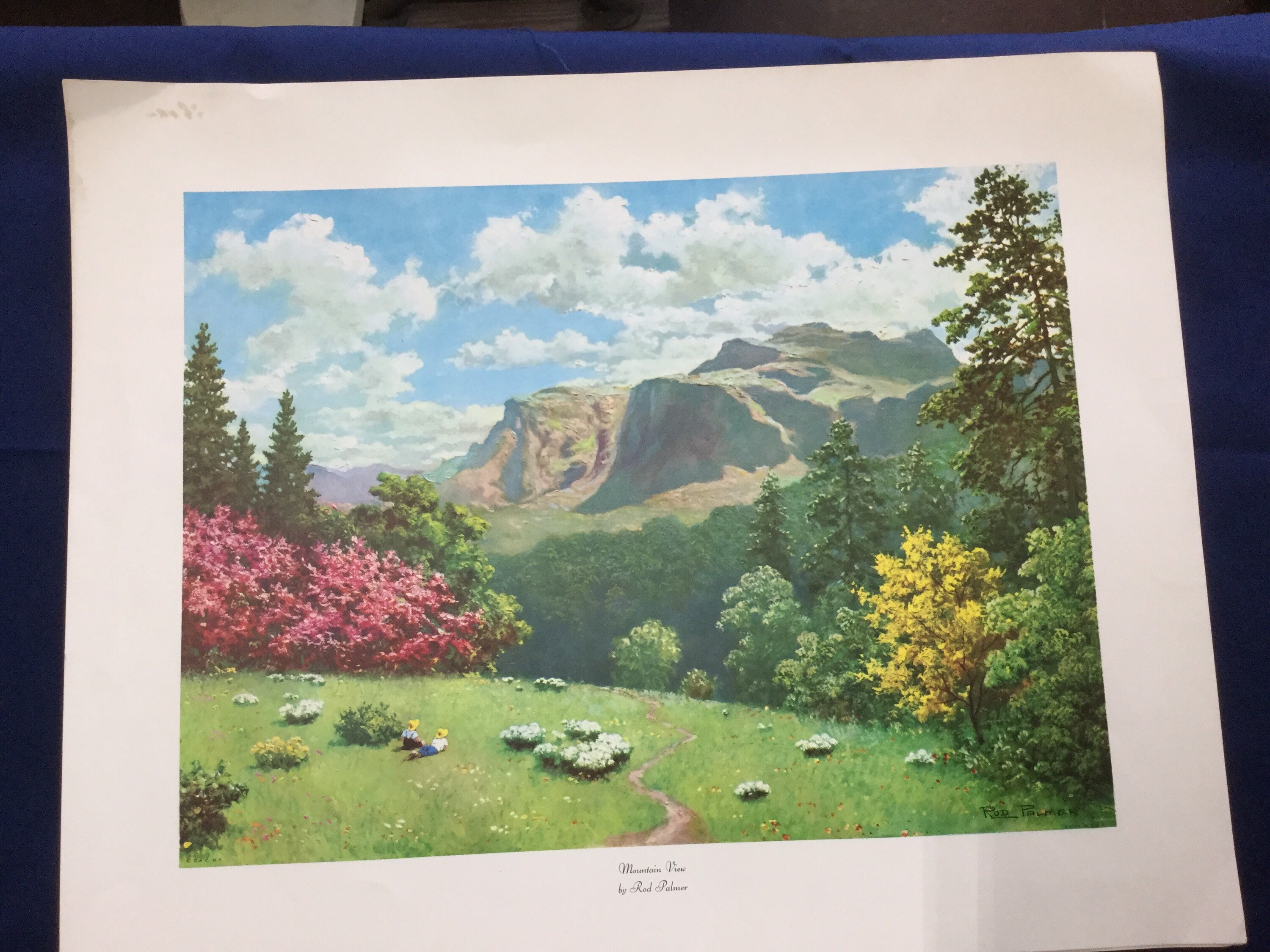 Vintage Rod Palmer Litho Print mountain View - Etsy