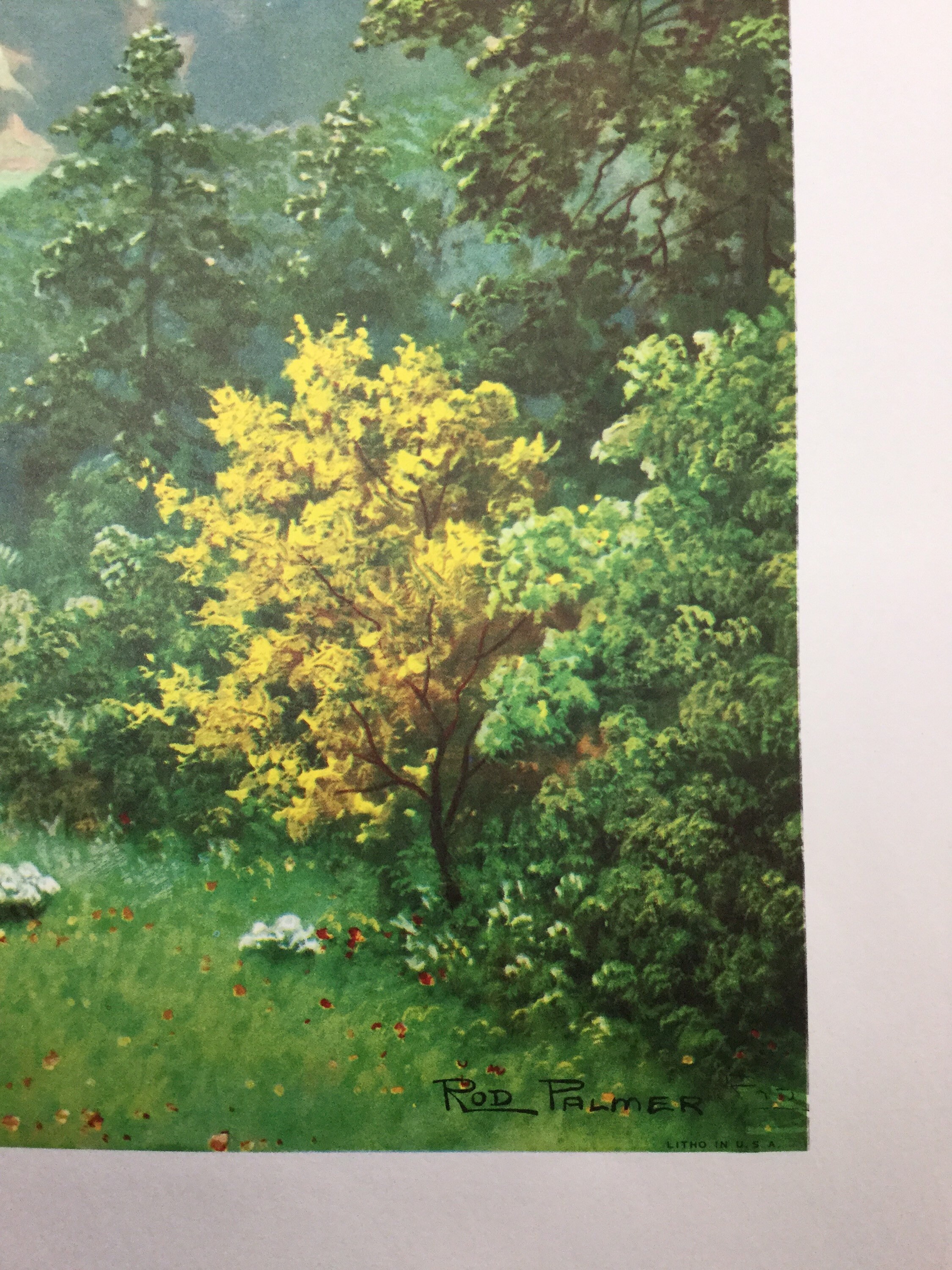 Vintage Rod Palmer Litho Print mountain View - Etsy