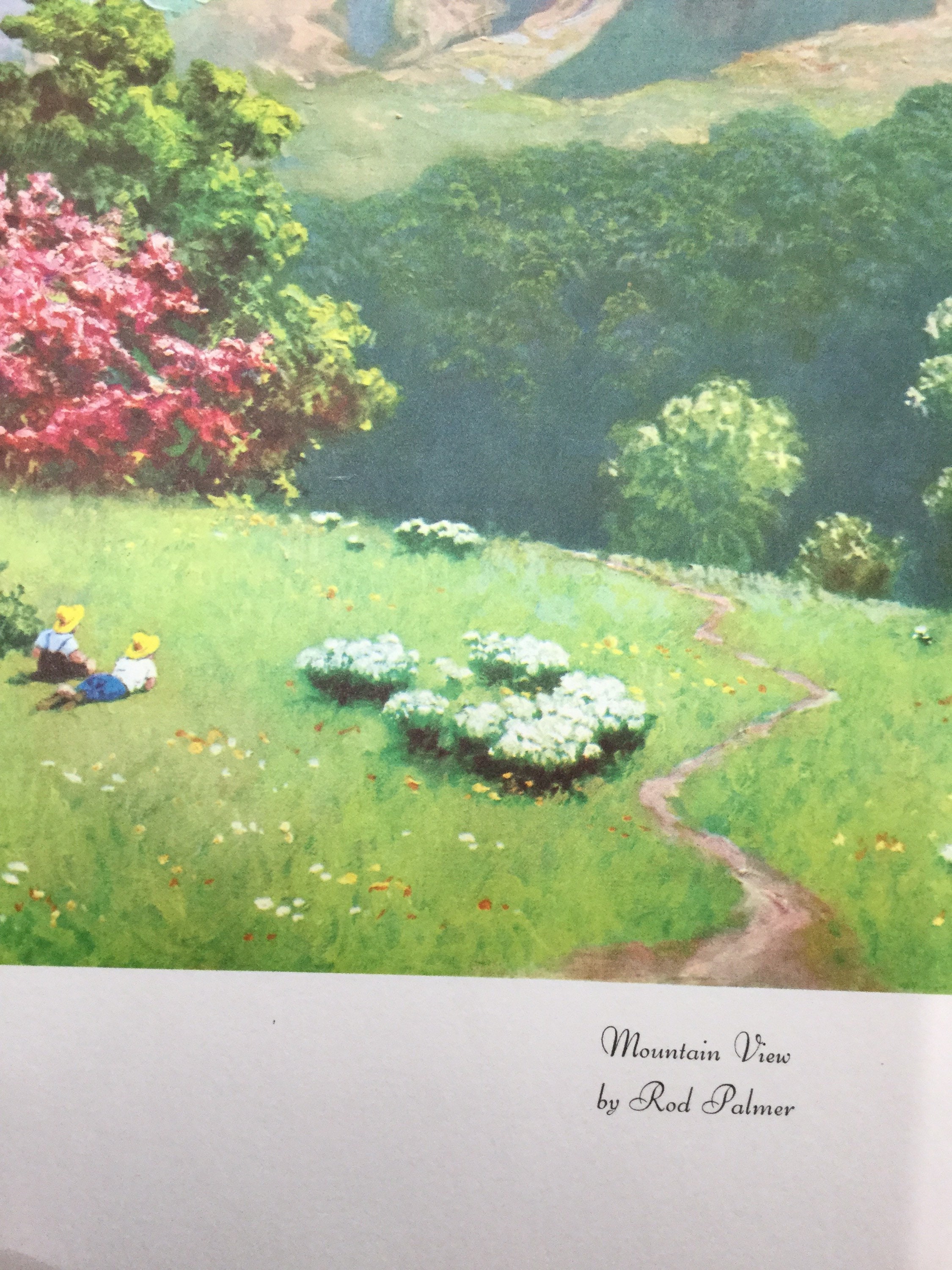 Vintage Rod Palmer Litho Print mountain View - Etsy