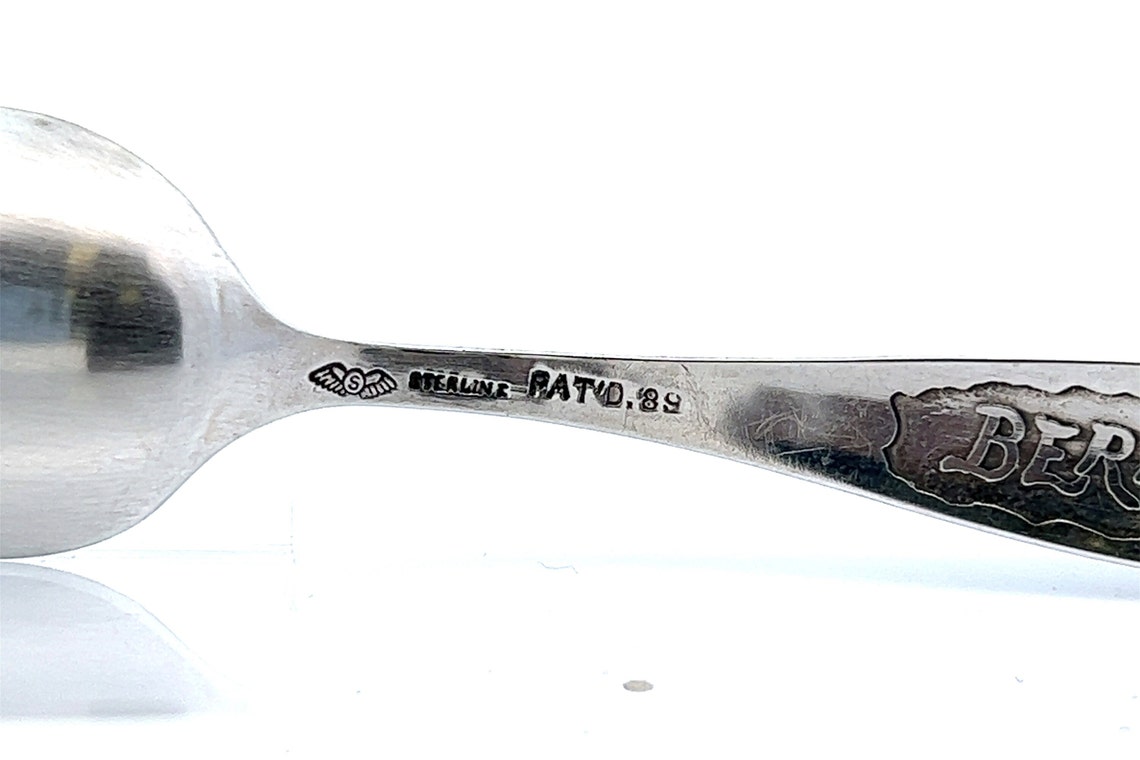 Antique Forget-me-not Flora Pattern Sterling Silver Demitasse Spoon ...