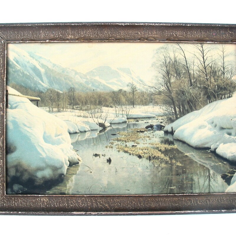 1920s Nature Print - Etsy