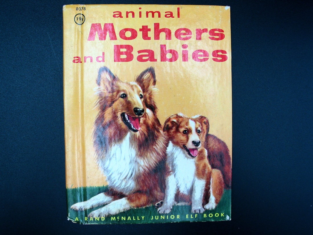 1956 Animal Mothers and Babies Story Book Vintage 1950s Childrens Book ...