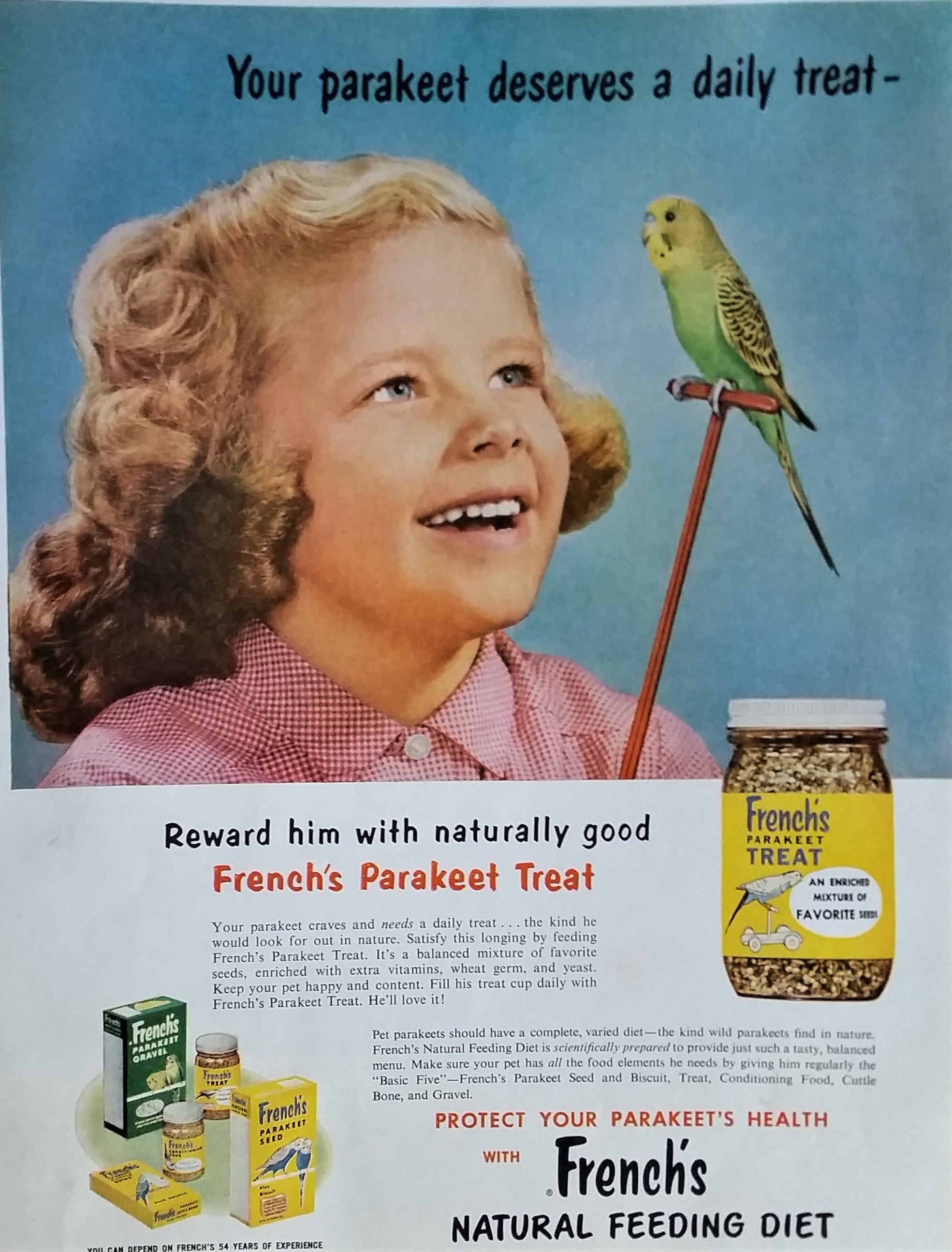 Parakeet Fad 50s 60s Budgies Flying Around House Pet Birds Chasing Thru ...