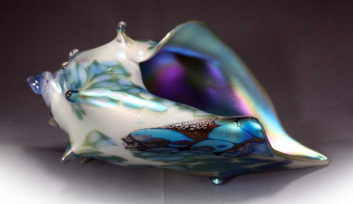 Blue & White Iridescent Sea Shell - Etsy