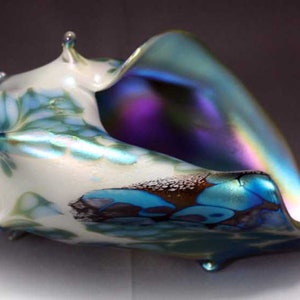 Blue & White Iridescent Sea Shell - Etsy