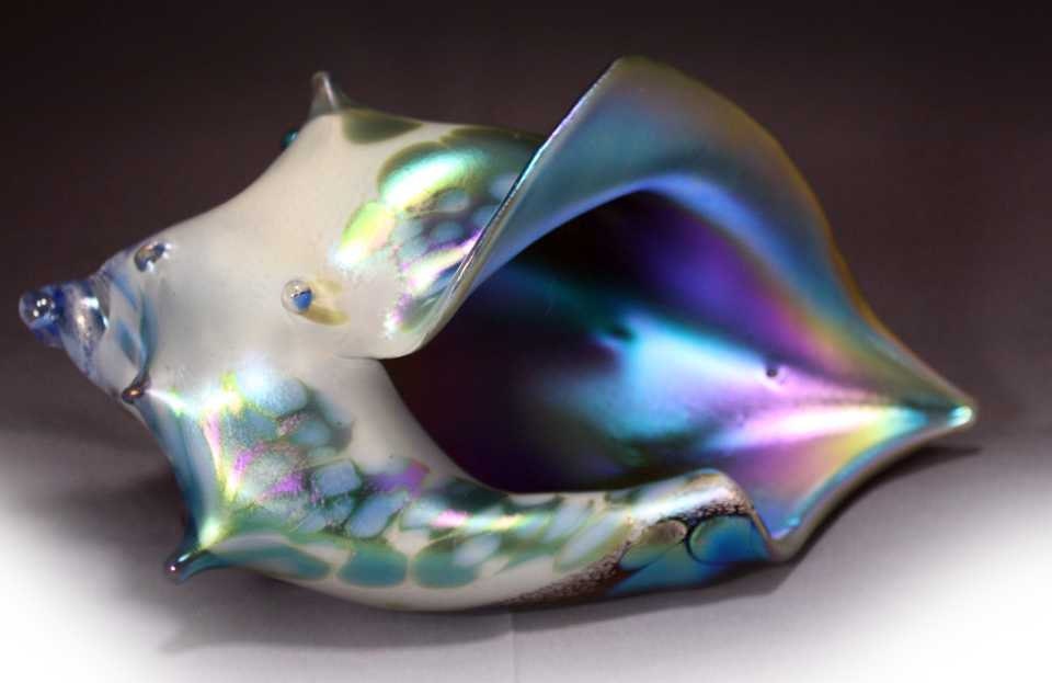 Blue & White Iridescent Sea Shell - Etsy