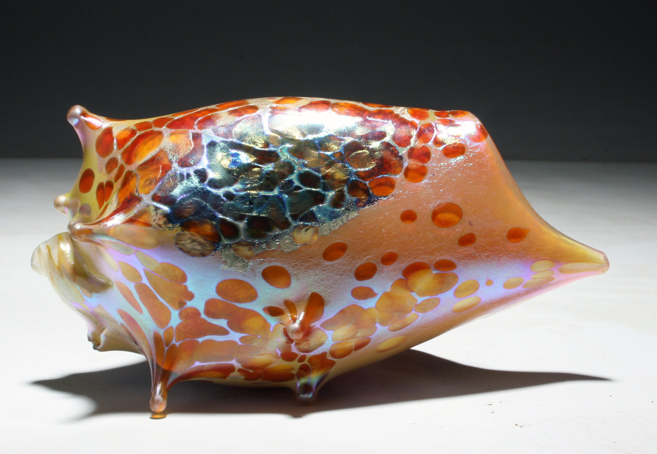 Phoenix Conch Shell - Etsy