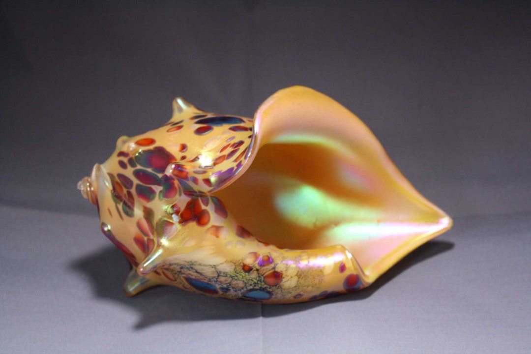 Gold & Red Iridescent Sea Shell - Etsy