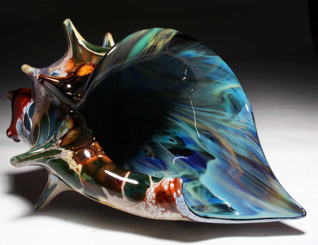 Alkali Aurora Sea Shell - Etsy