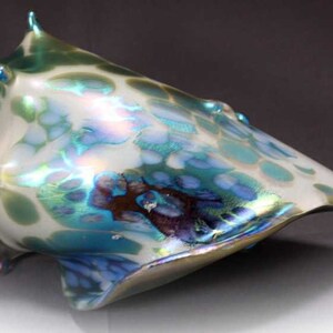 Blue & White Iridescent Sea Shell - Etsy