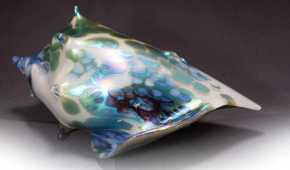 Blue & White Iridescent Sea Shell - Etsy