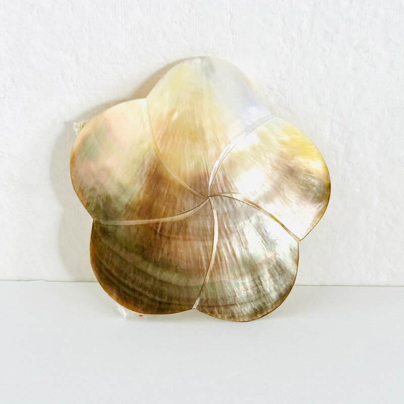 Seashell Belt - Etsy