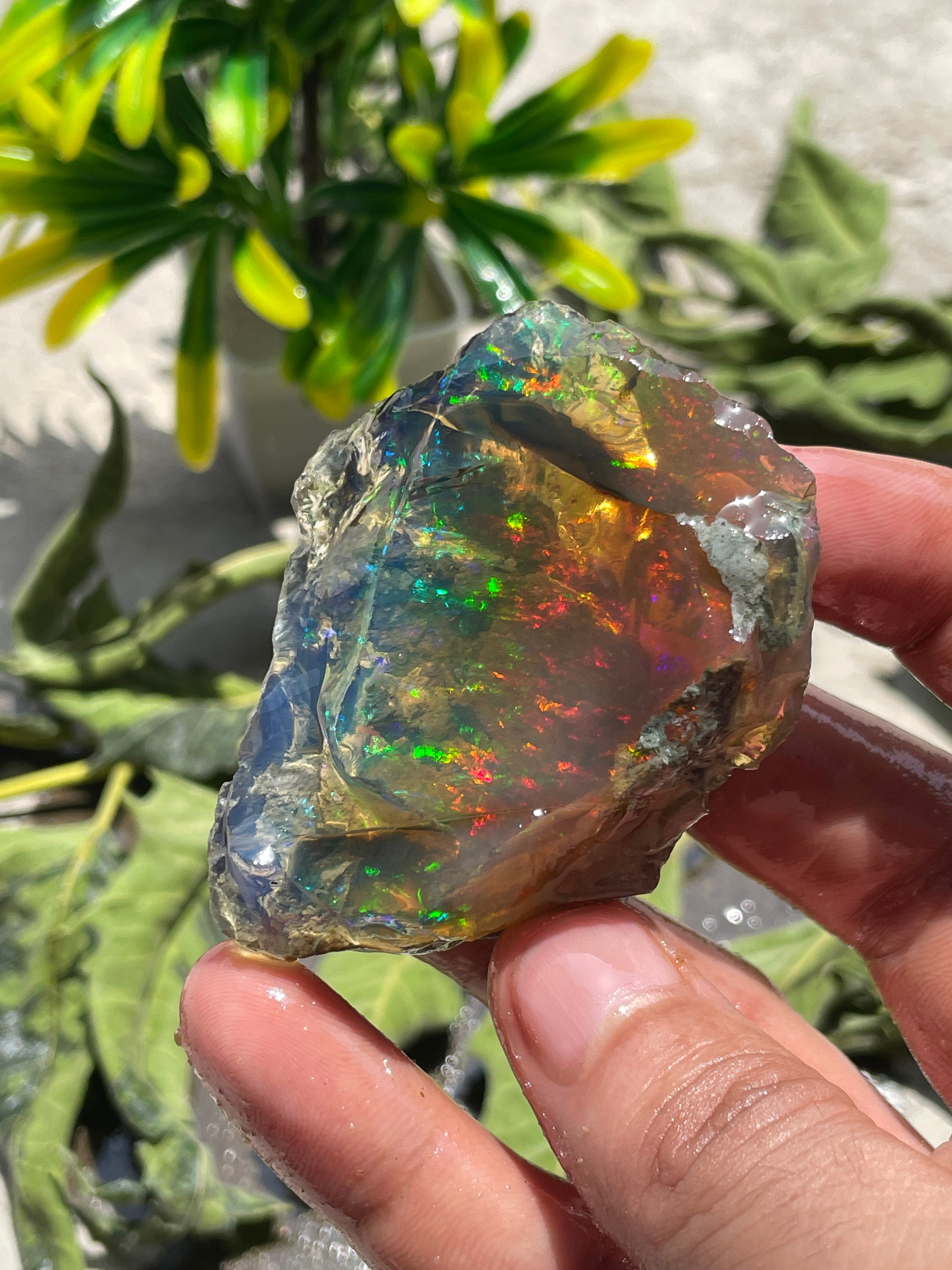 Amazing Raw Opal Stone Natural Opal Rough Opal Crystal Multi | Etsy