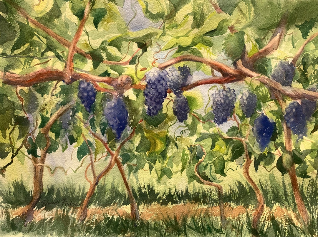 Vineyard Watercolor, "jewels on the Vine" Small Original Painting ...
