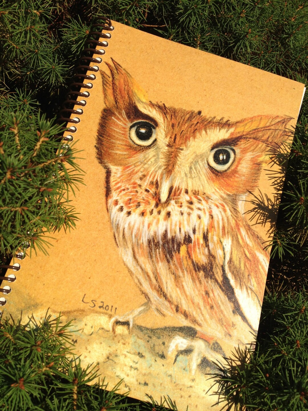 Spiral Bound Eco-friendly Screech Owl Journal - Etsy