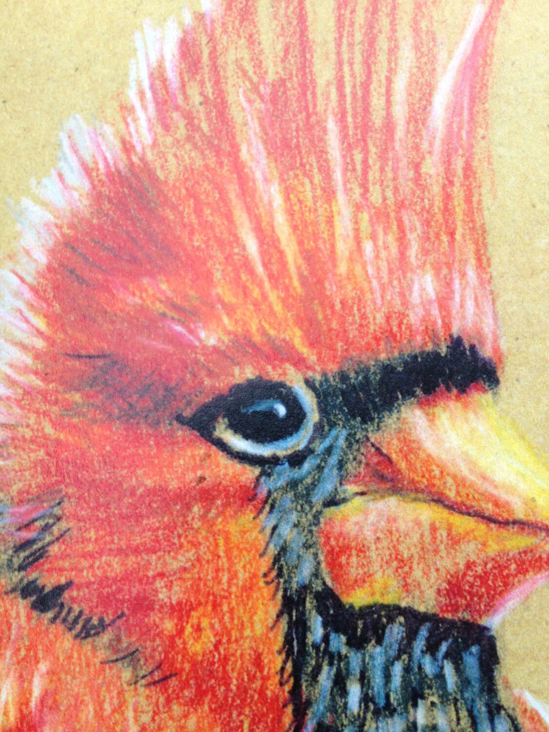 Spiral Bound Eco-friendly Cardinal Journal - Etsy