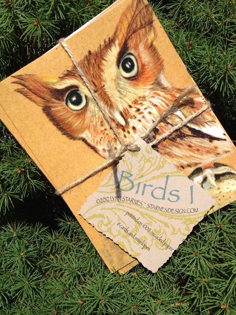 Hand Illustrated Eco-friendly Native Bird Note Cards (birds I) - Etsy
